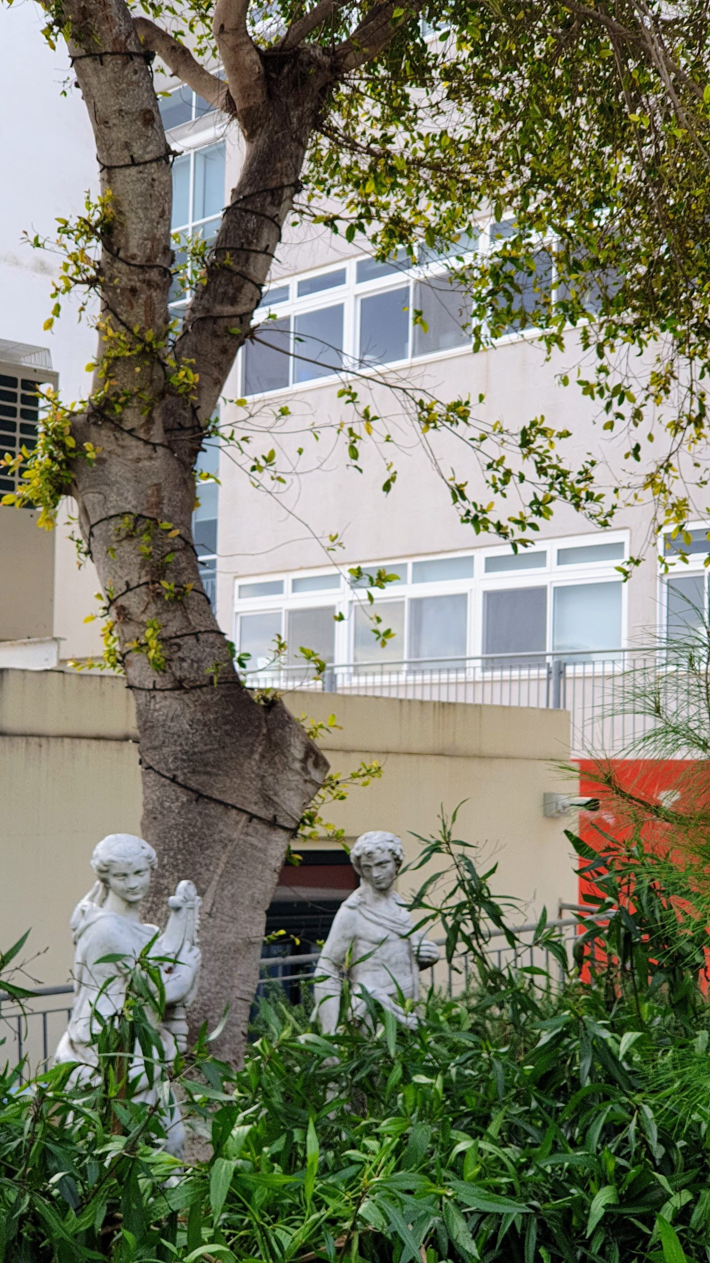 Suomen koulu: Huipulla tuulee - In Via - Koulu maailmalla - Suomi