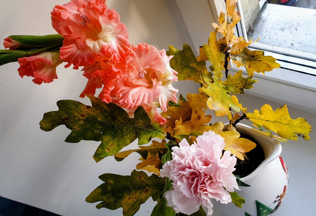 Viikko 41 - Syksy 2023 - In Via - It's My Life(style)